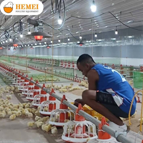 Floor Type Broiler Equipment system, CCS3