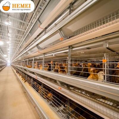 H Type Layer Chicken Cage Equipment manufacturer from china
