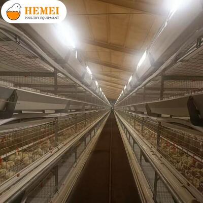 H Type Multi Tiers Manual Harvesting Broiler Cage Equipment