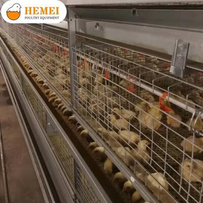 H Type Multi Tiers Manual Harvesting Broiler Cage Equipment
