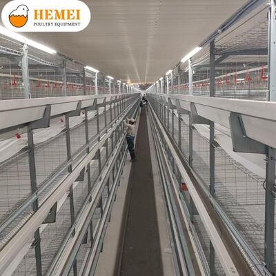 H Type Multi Tiers Manual Harvesting Broiler Cage Equipment