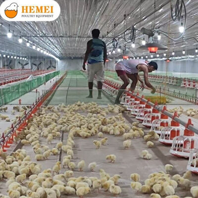 Floor Type Broiler Equipment system, CCS3