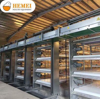 Multi Tier Broiler Cage with 15-20 Years Life